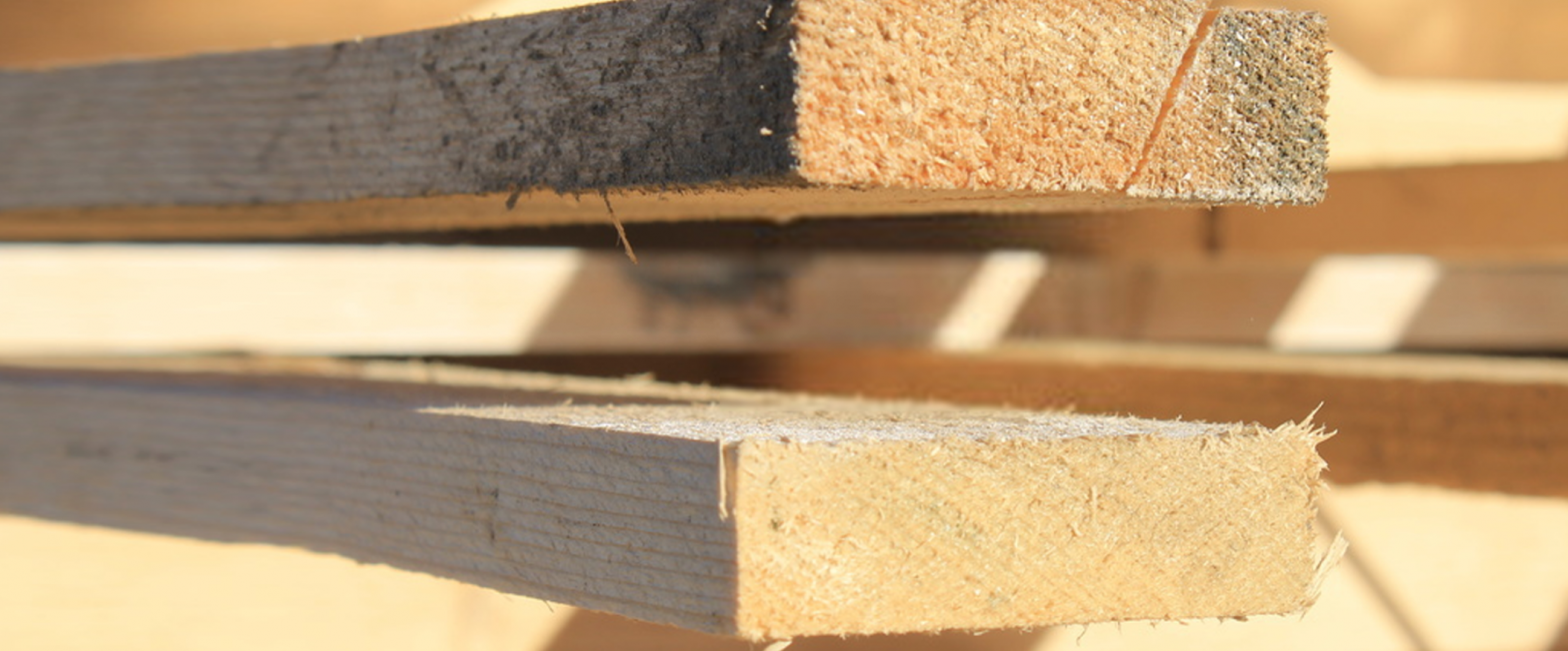 H3 Sawn Pine - Pine Timber Products
